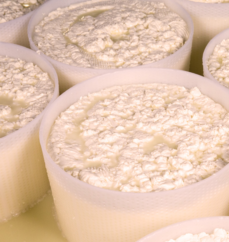 Chi siamo – EL TABARO Formaggi di Montagna